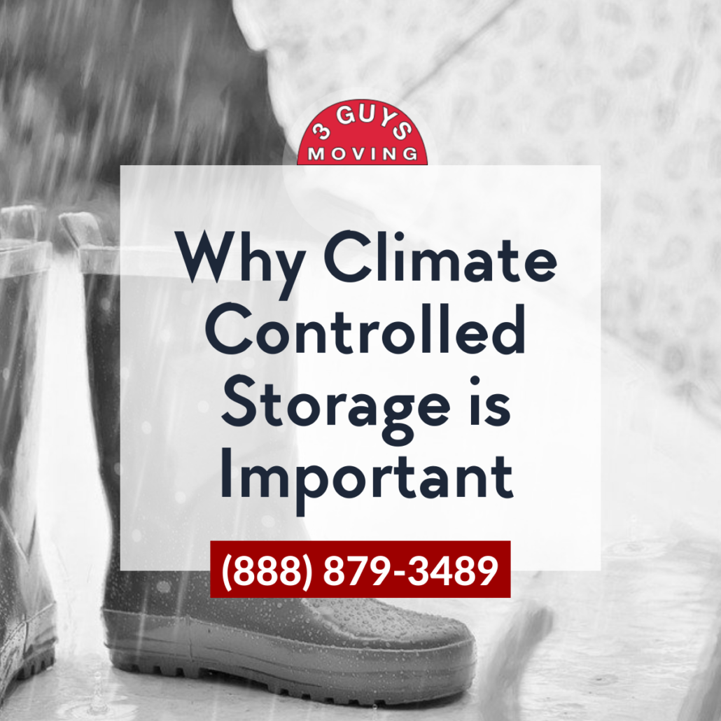 Why Climate Controlled Storage Is Important